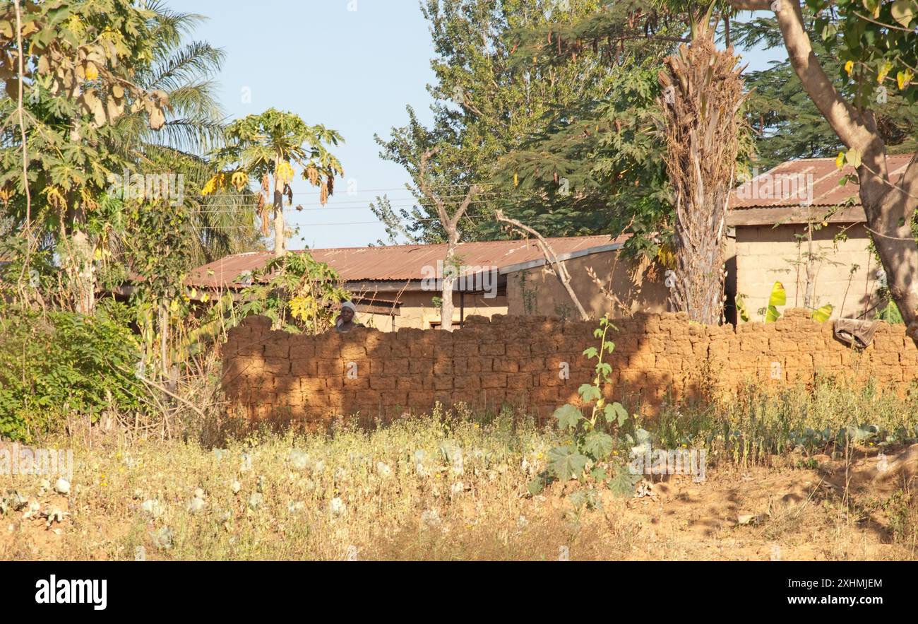 Farm, Kaduna State, Nigeria. Trees, houses, fields with some ...