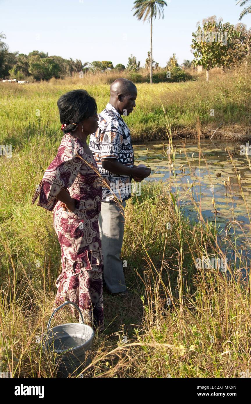 Nigeria farmers cattle hi-res stock photography and images - Alamy