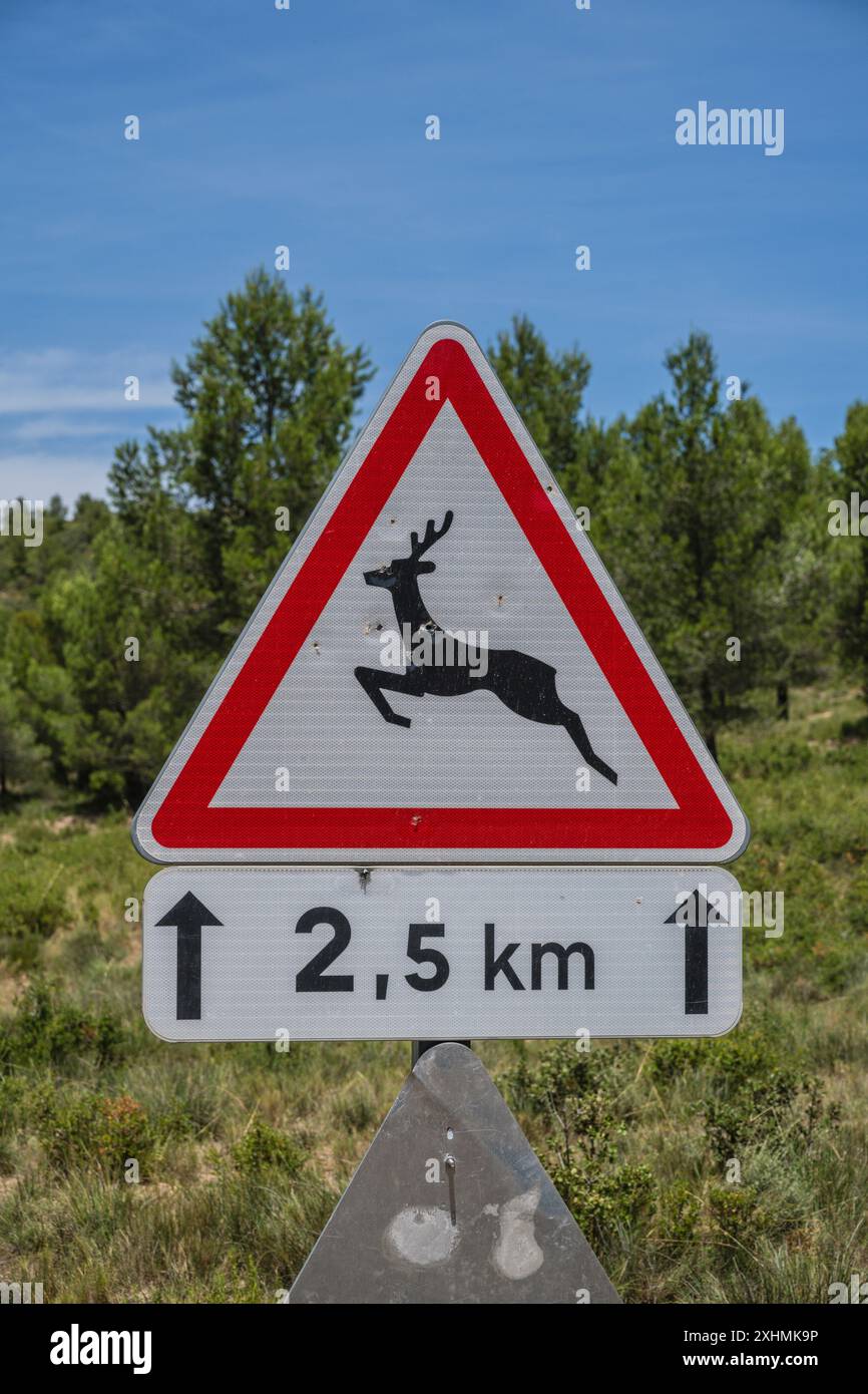 Damaged road sign in France, locals using the sign for target practice ...