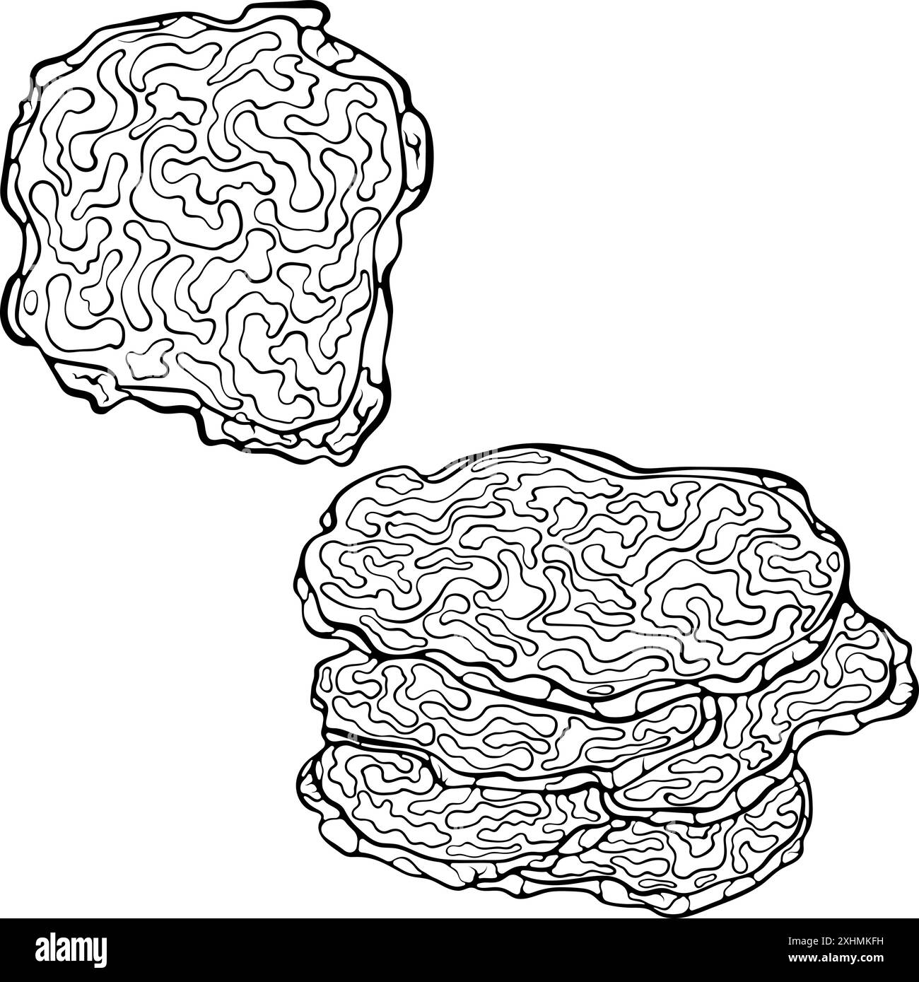 Fungus slices Stock Vector Images - Alamy