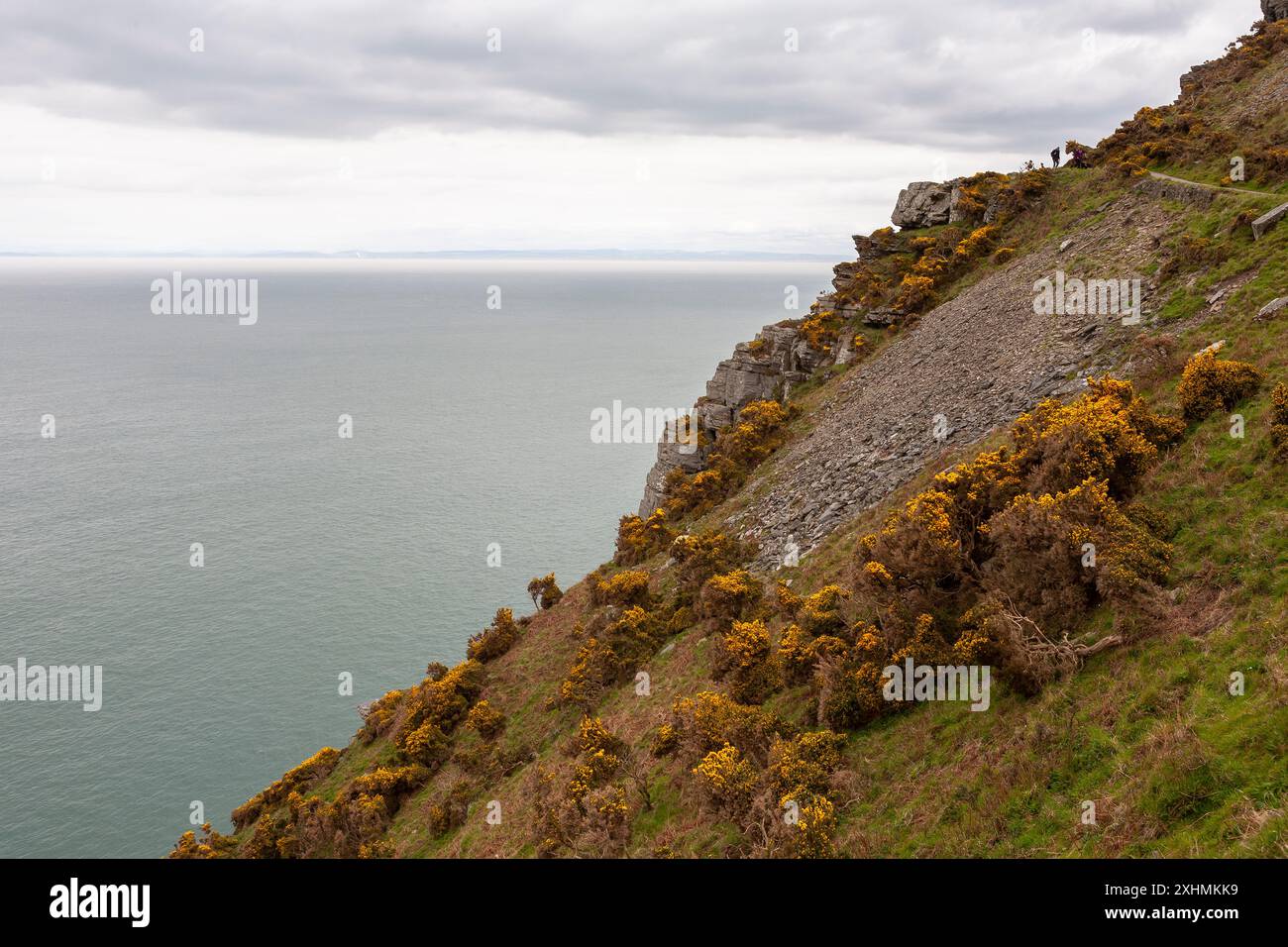 Cliff path on the North Devon coast between the Valley of Rocks and ...