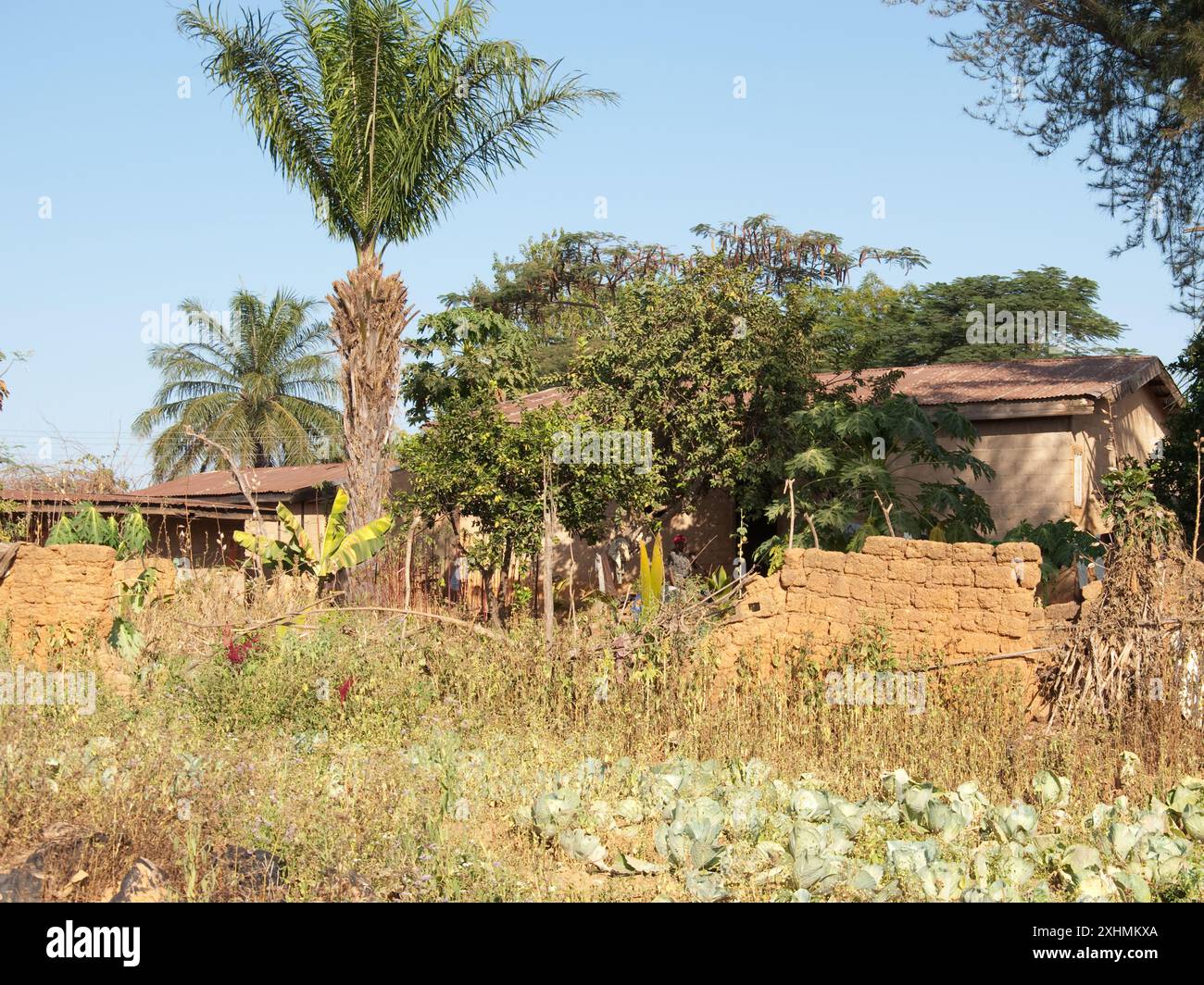 Nigeria farmers in field hi-res stock photography and images - Alamy