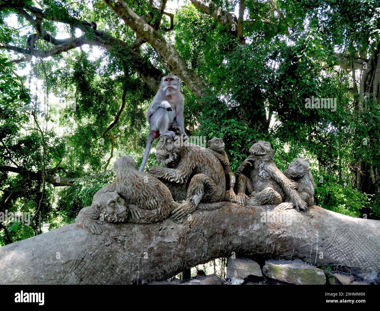 Adult monkey sitting on a monkey statue in the Sacred Monkey Forest ...