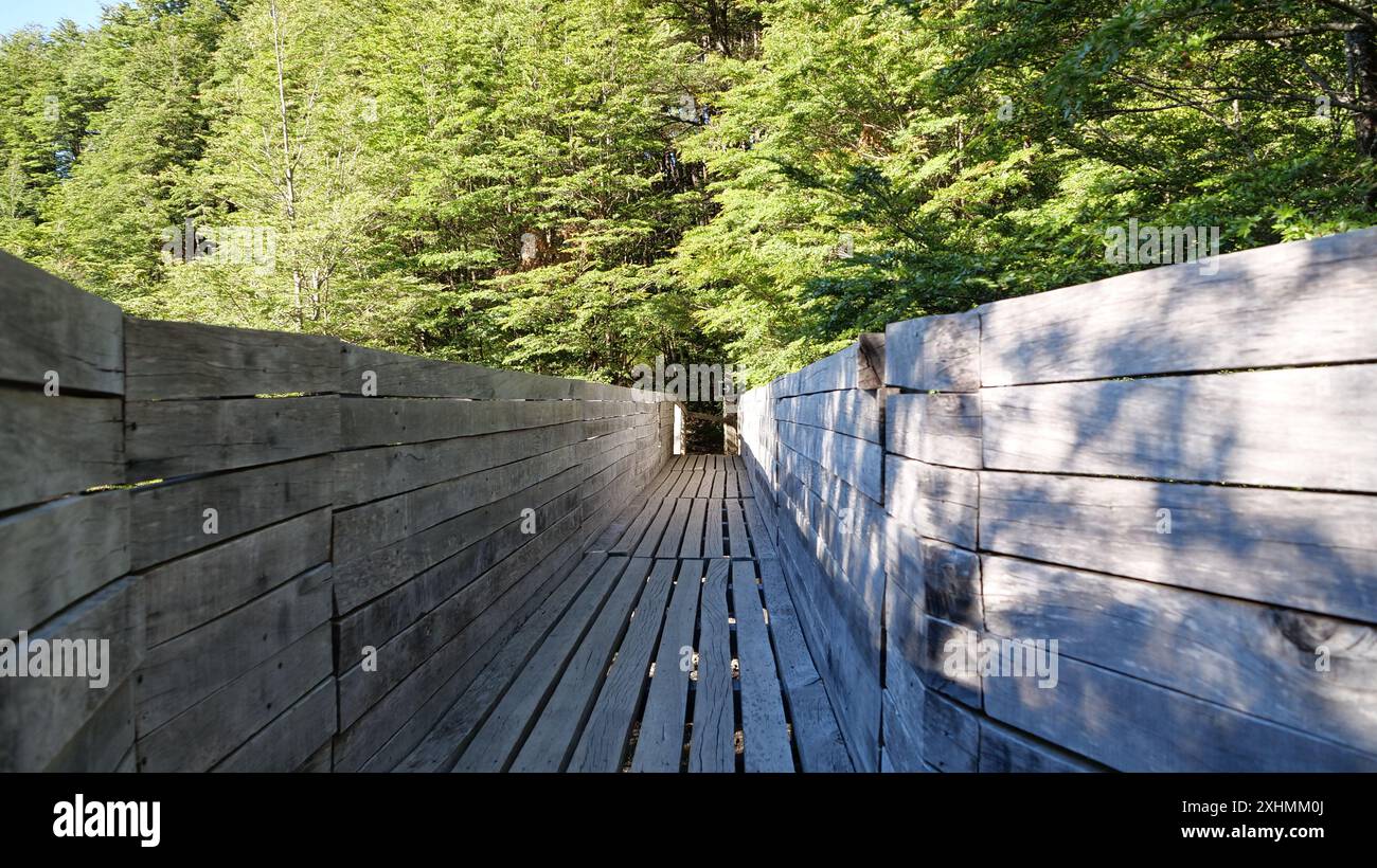Path to a national park with an empty wooden bridge, Chile Stock Photo ...