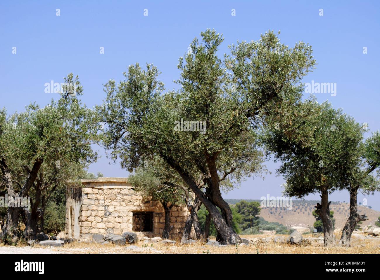 The lonely castle jordan hi-res stock photography and images - Alamy