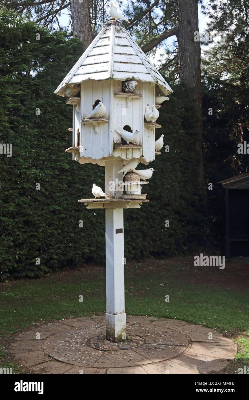 Doves at dovecote hi-res stock photography and images - Alamy
