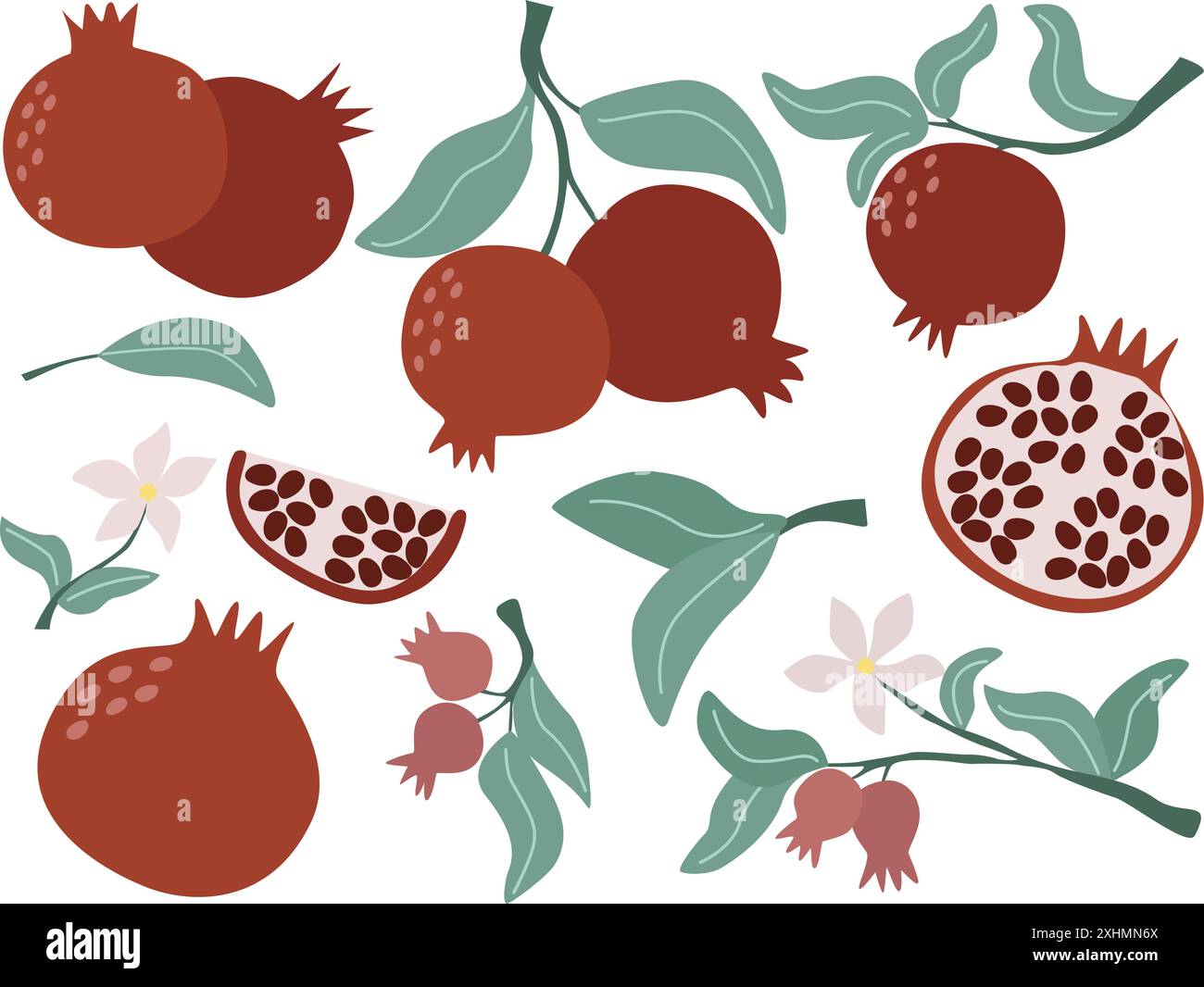 Cut pomegranate half on Stock Vector Images - Alamy