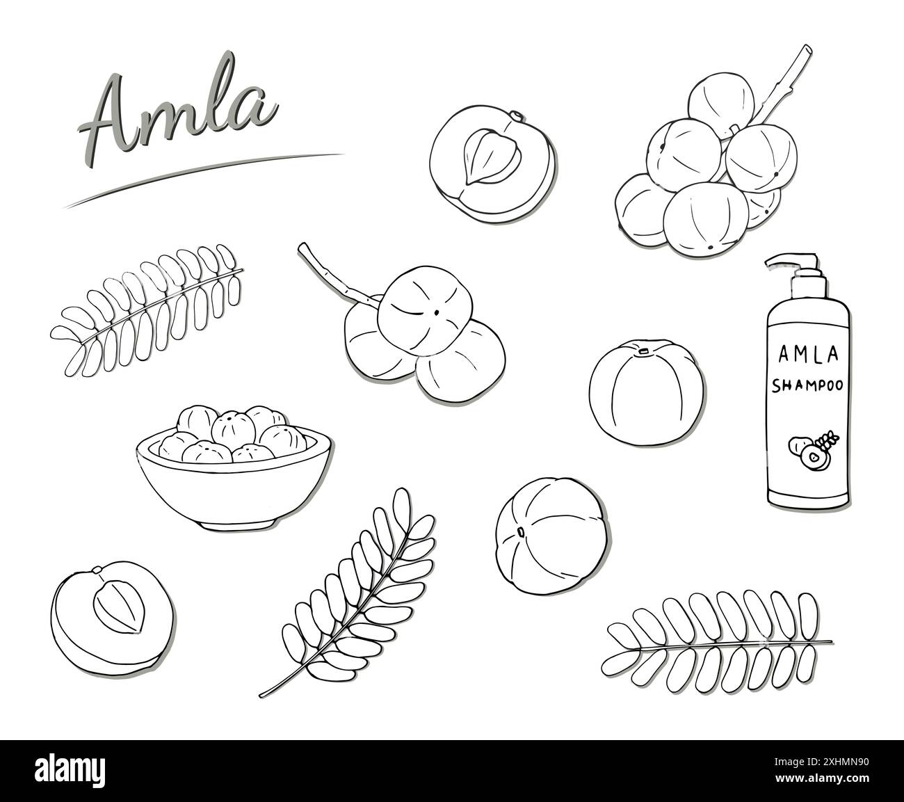 Amla fruits, half fruit, leavs, shampoo, and fruits in a bowl. Hand ...