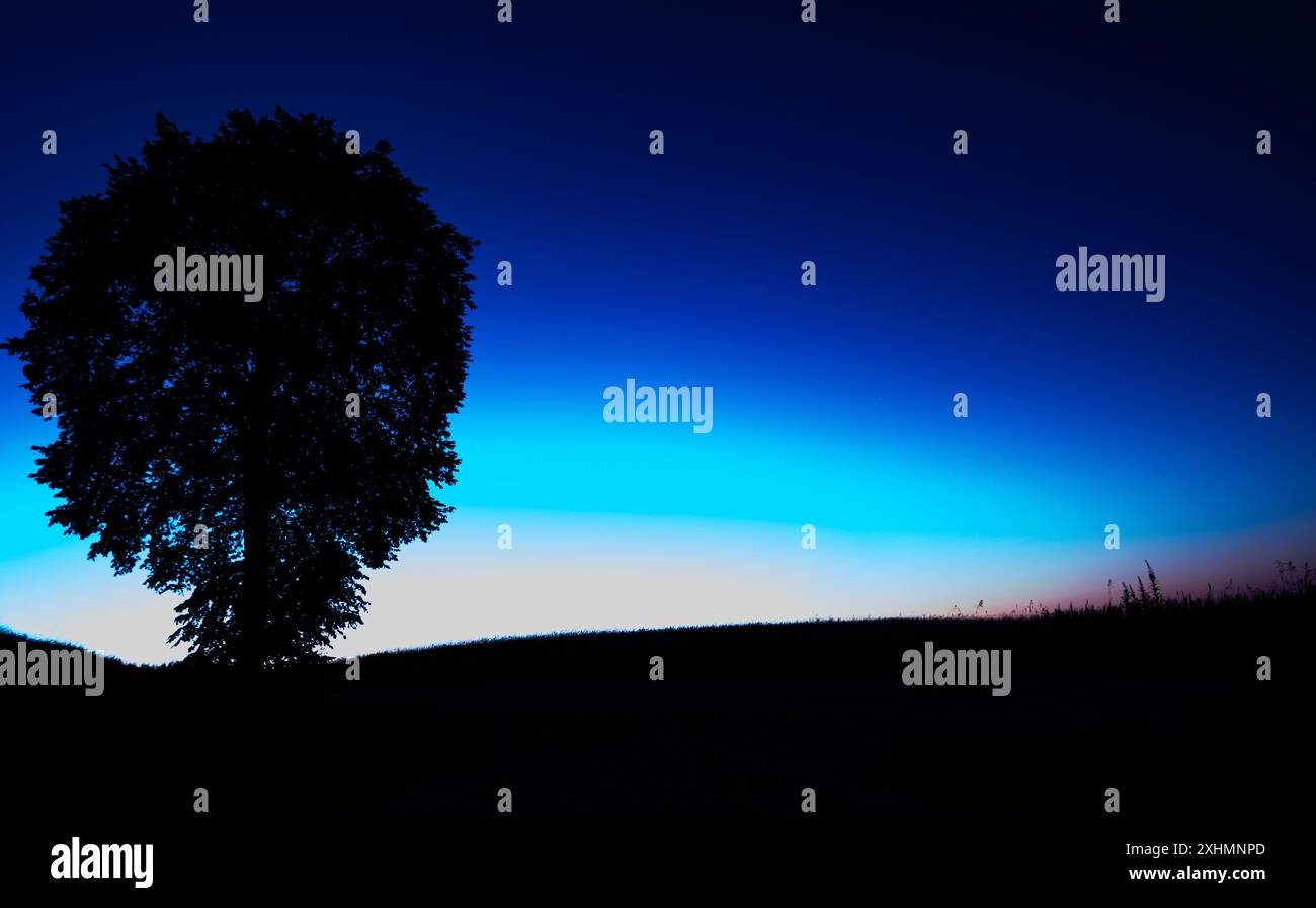 A beautiful nightscape with an intense light spectrum illuminating a ...