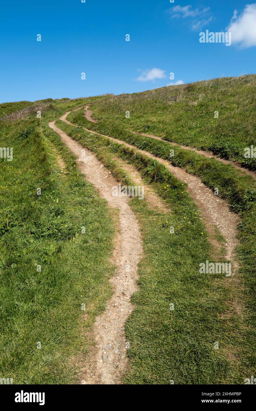 The well worn eroded South West Coast Path on the coast of Newquay in ...