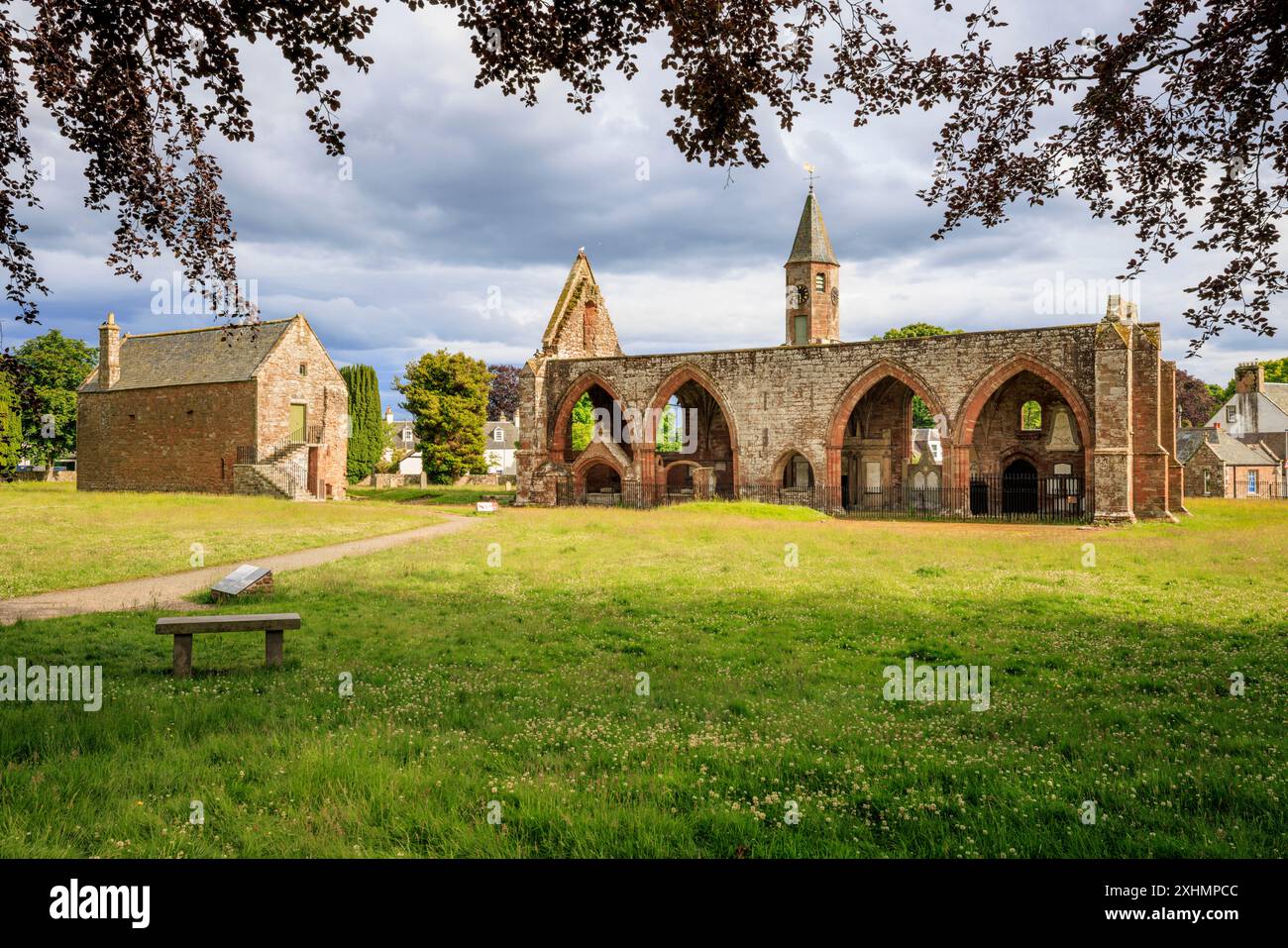 The ruins of Fortrose Cathedral, Fortrose, Black Isle, Ross and ...