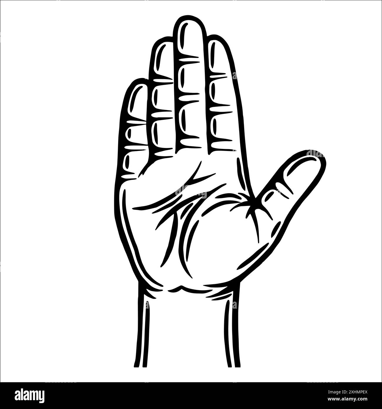 Male hand gestures. Human palm. Outline contour. Design element. Vector illustration isolated on ...