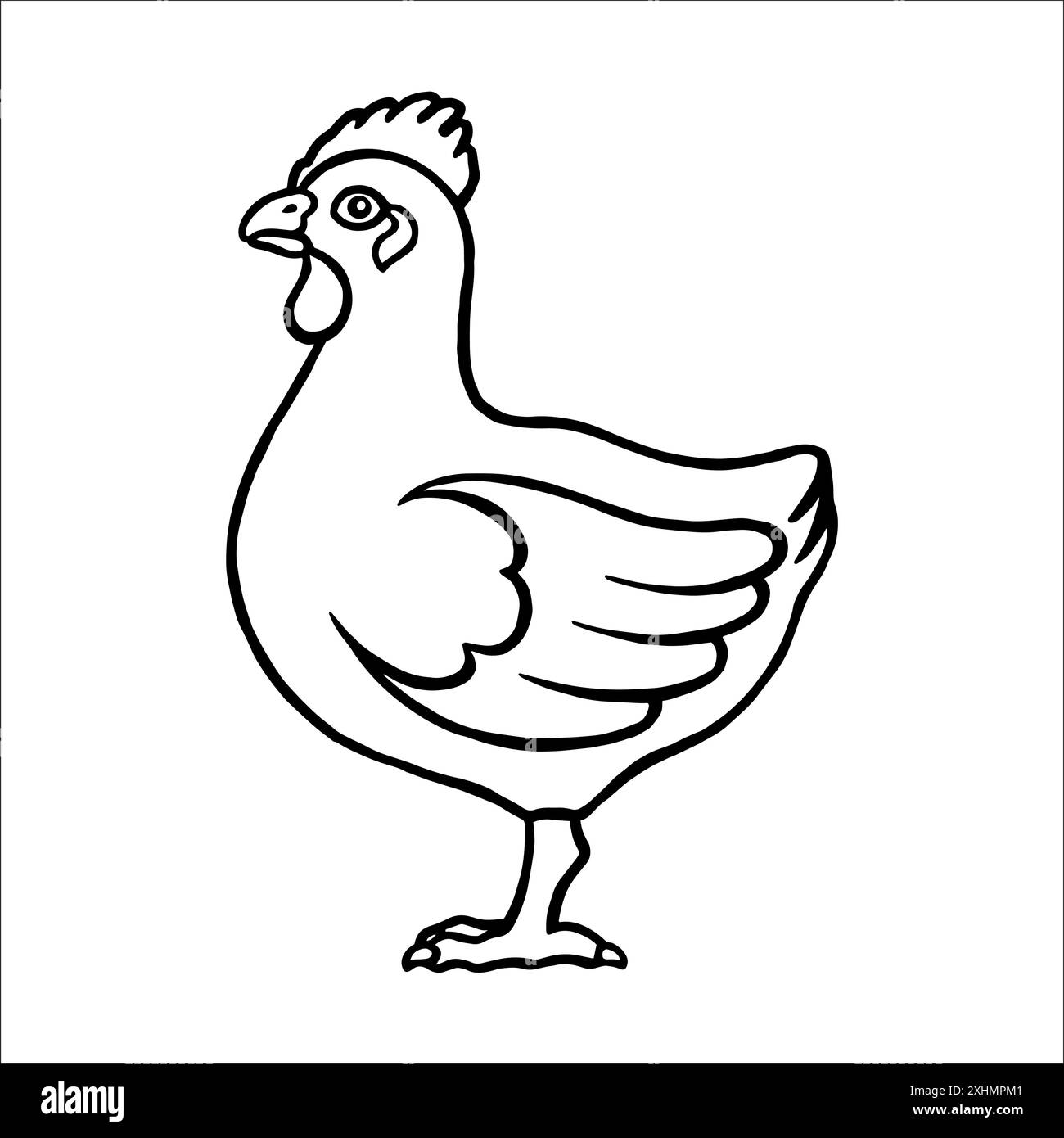 Farm hen. Outline contour. Design element. Vector illustration isolated ...