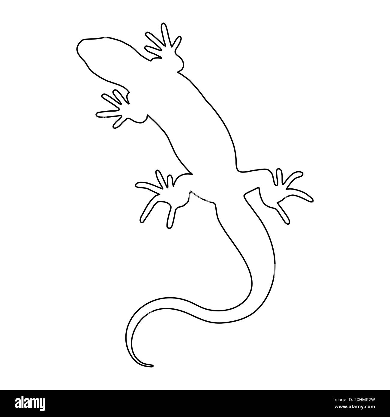 Lizard reptile. Outline silhouette. Design element. Vector illustration ...