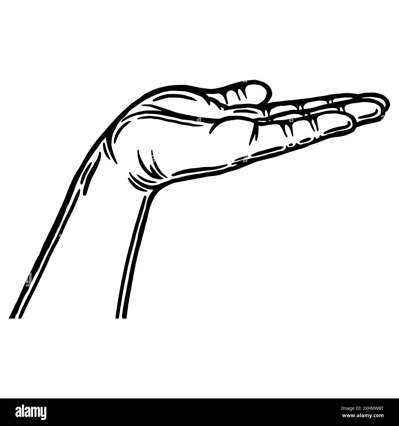 Male hand gestures. Palm up. Outline silhouette. Design element. Vector illustration isolated on ...