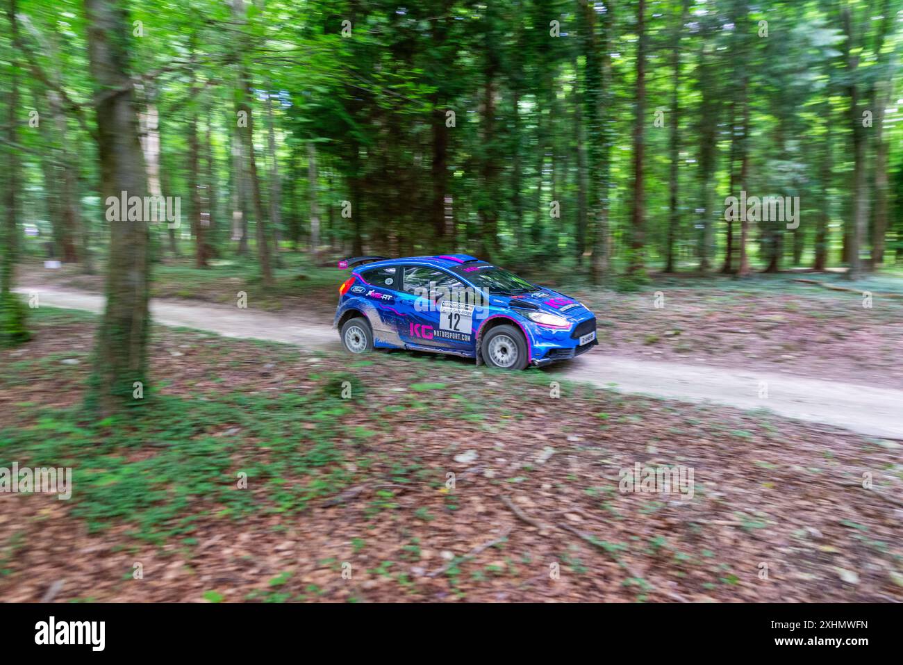 2017 Ford Fiesta R5 rally car on the rally stage through forest at the ...