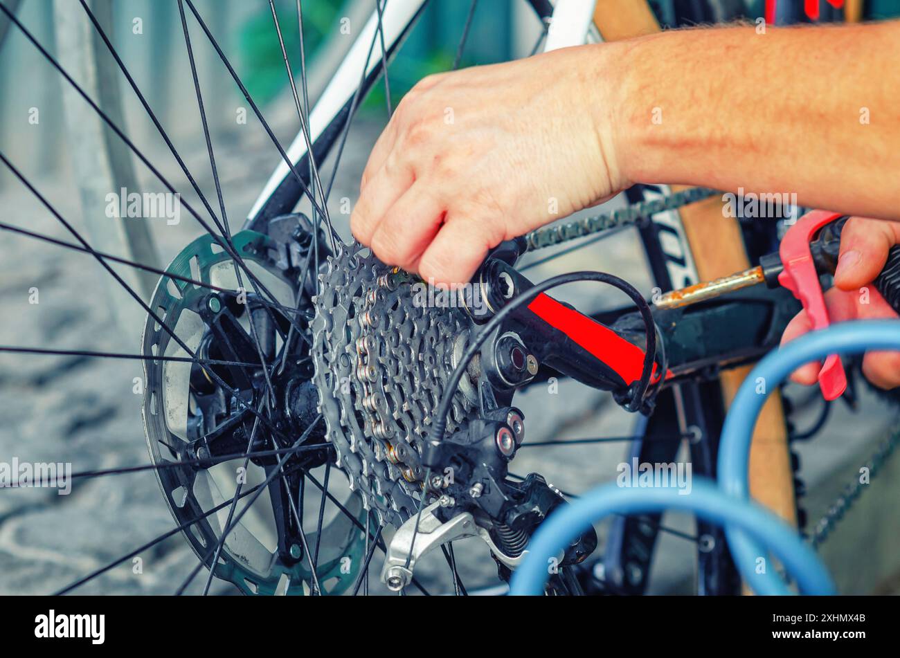 Bicycle chain system. Man's hand tightens the chain on bicycle. Bicycle ...