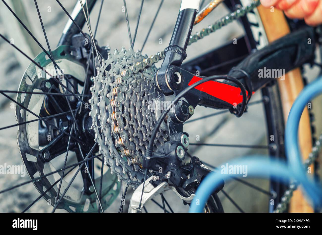 Bicycle chain system. Man's hand tightens the chain on bicycle. Bicycle ...