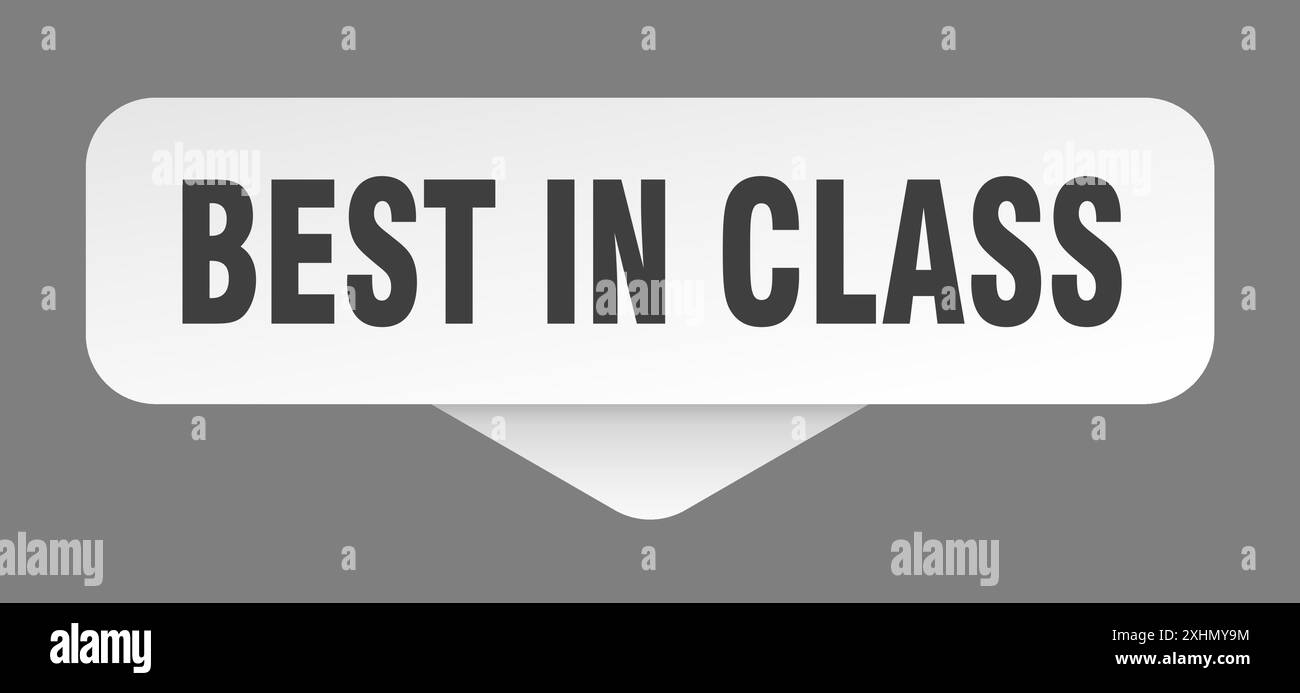 best in class sticker. best in class sign isolated on gray background ...