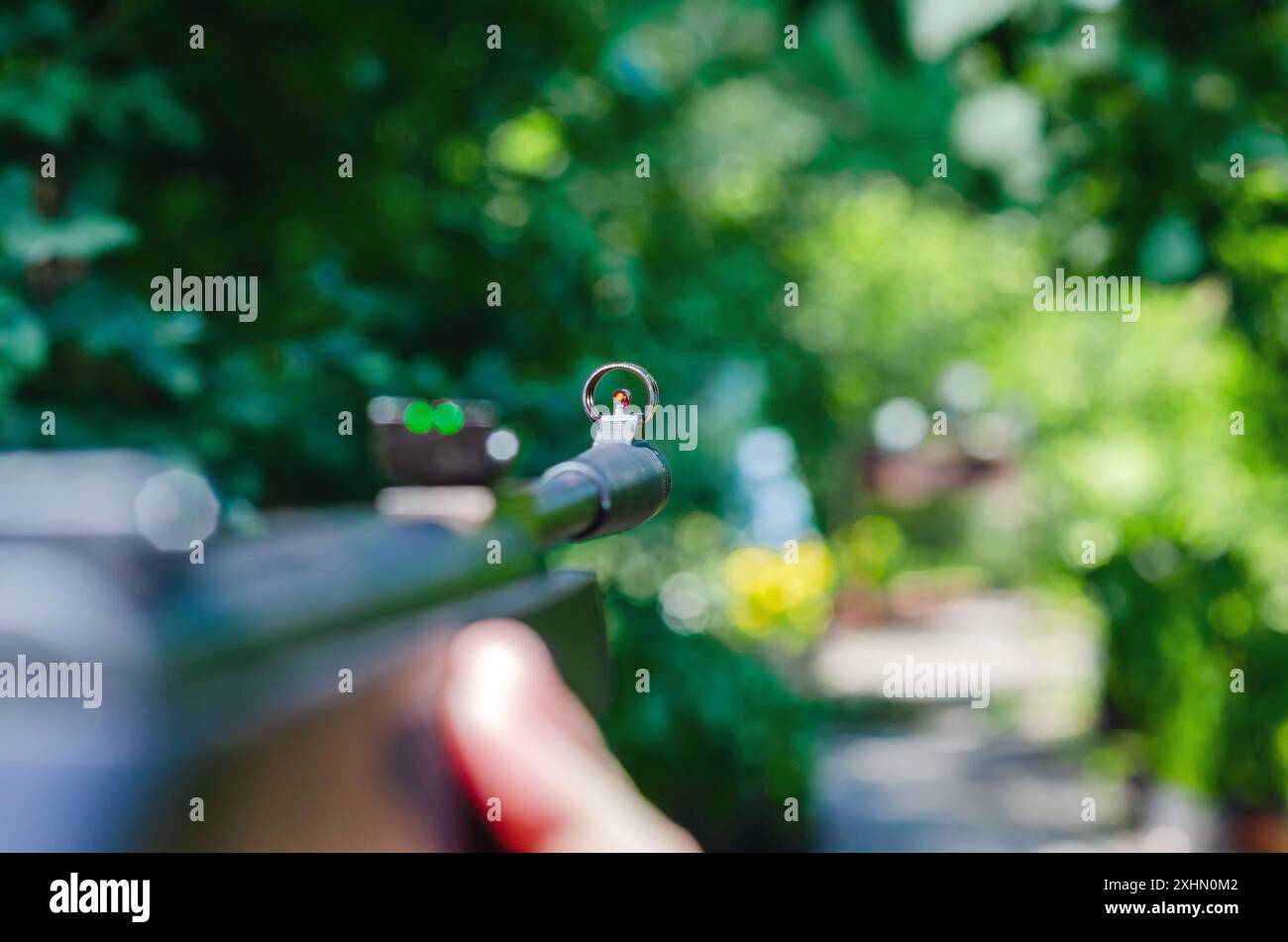 Hunting rifle close-up on blurred background of nature. Rifle sight ...