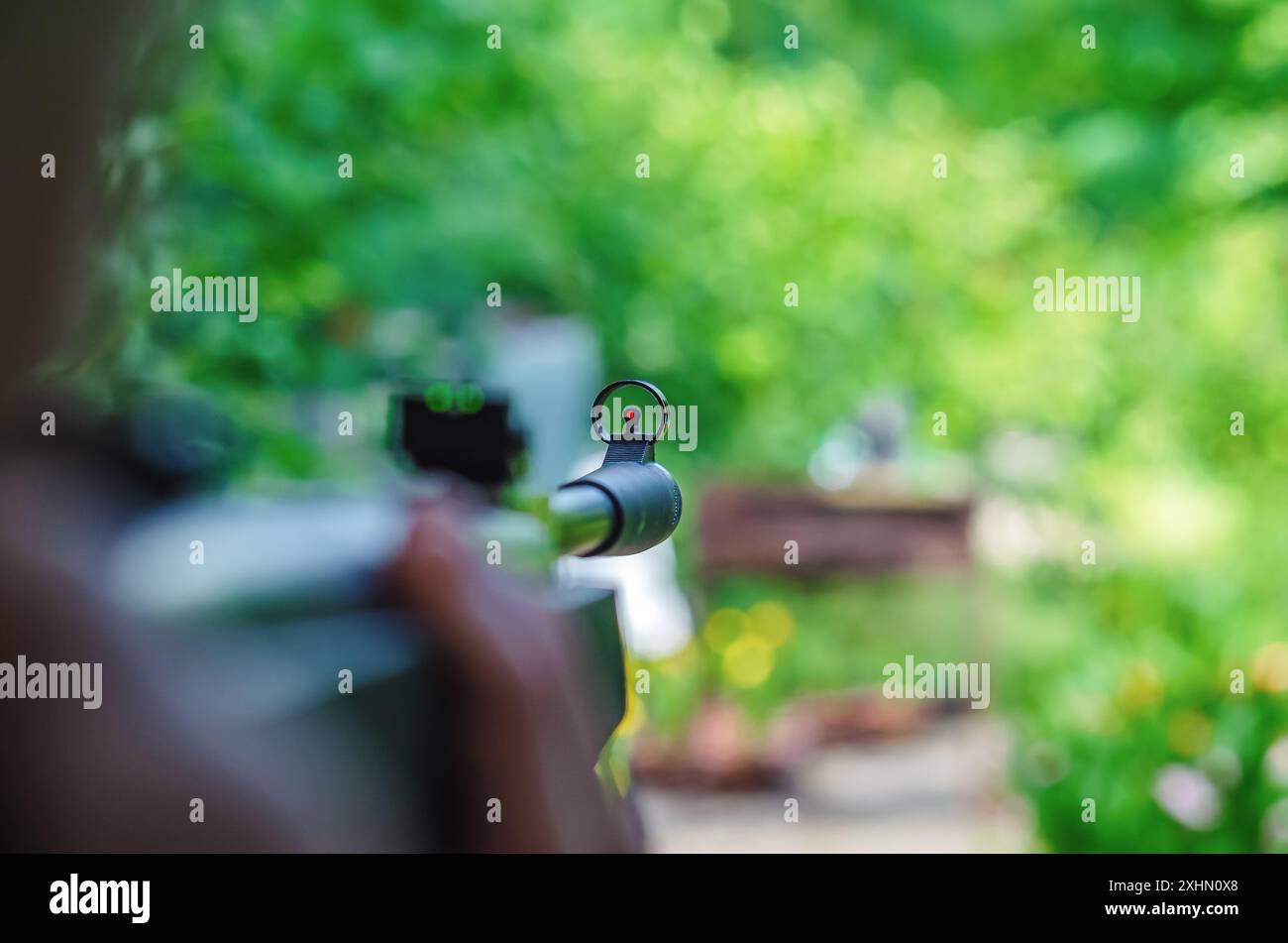 Hunting rifle close-up on blurred background of nature. Rifle sight ...