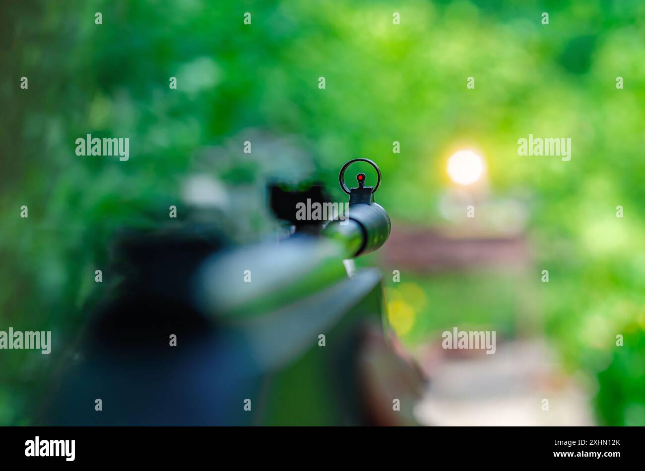 Hunting rifle close-up on blurred background of nature. Rifle sight ...
