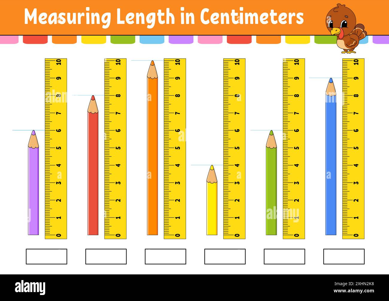 Measuring length in centimeter with ruler. Education developing ...
