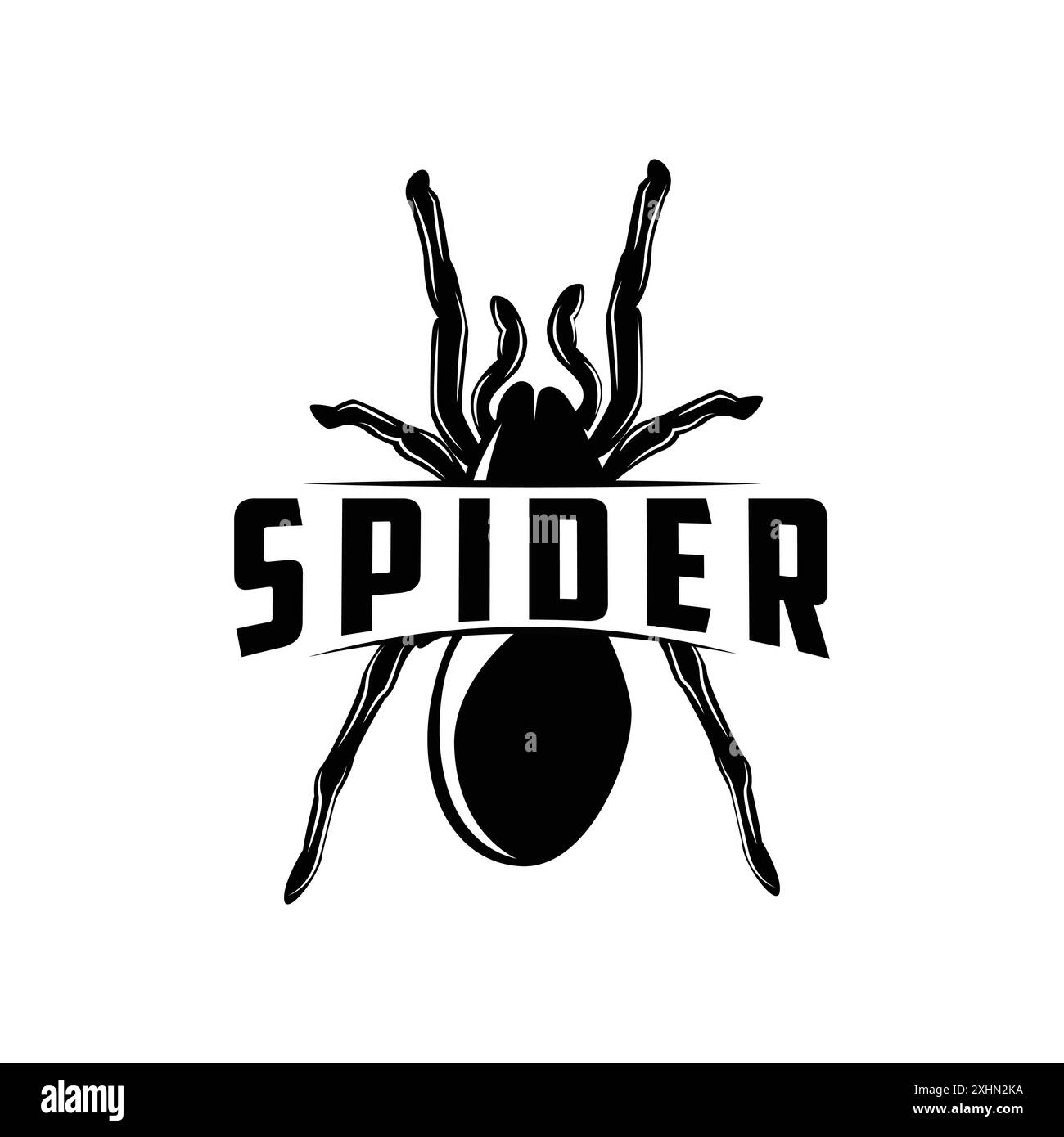 Simple spider logo hi-res stock photography and images - Alamy