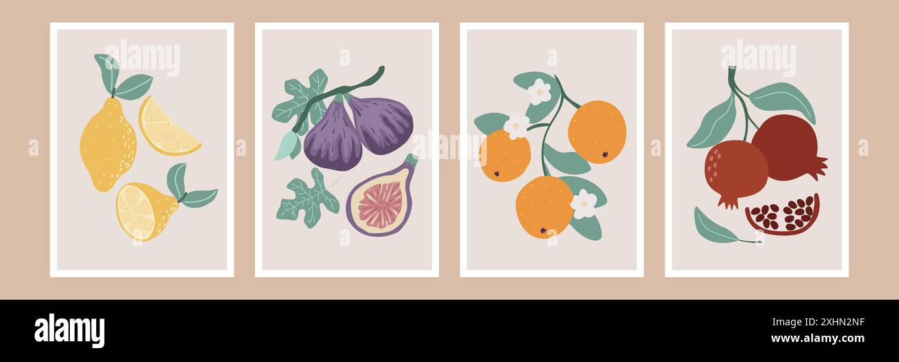 Fruit posters set vector graphic Stock Vector Image & Art - Alamy