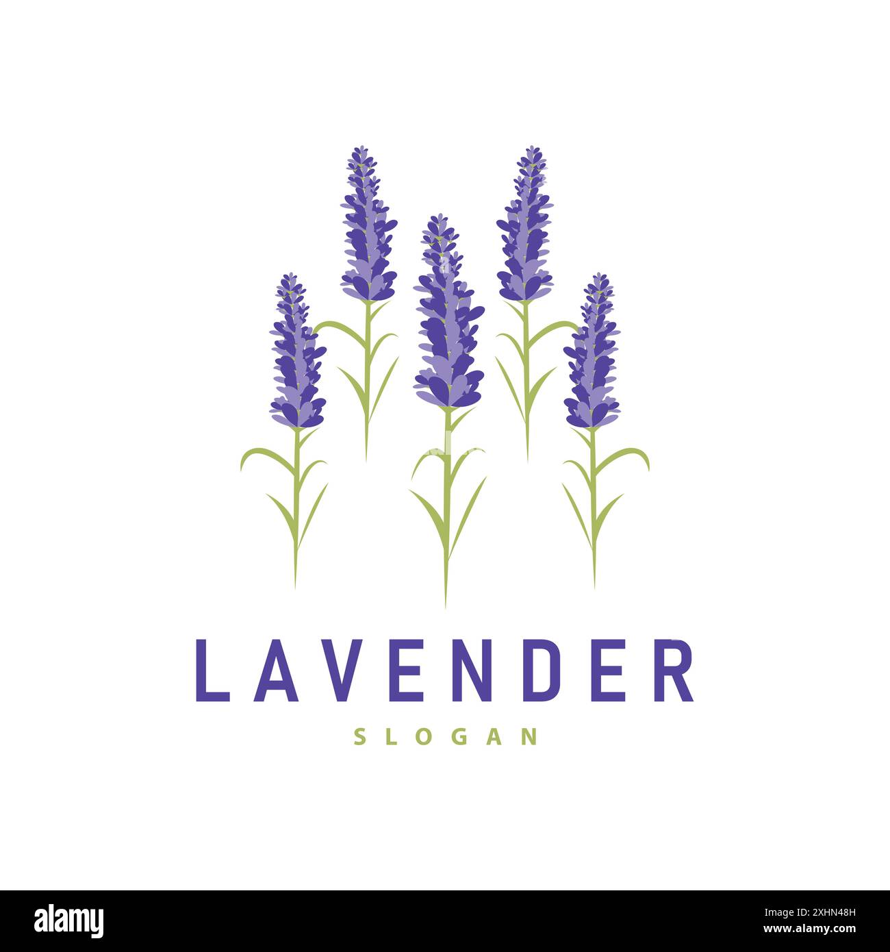 Lavender logo elegant purple Stock Vector Images - Alamy