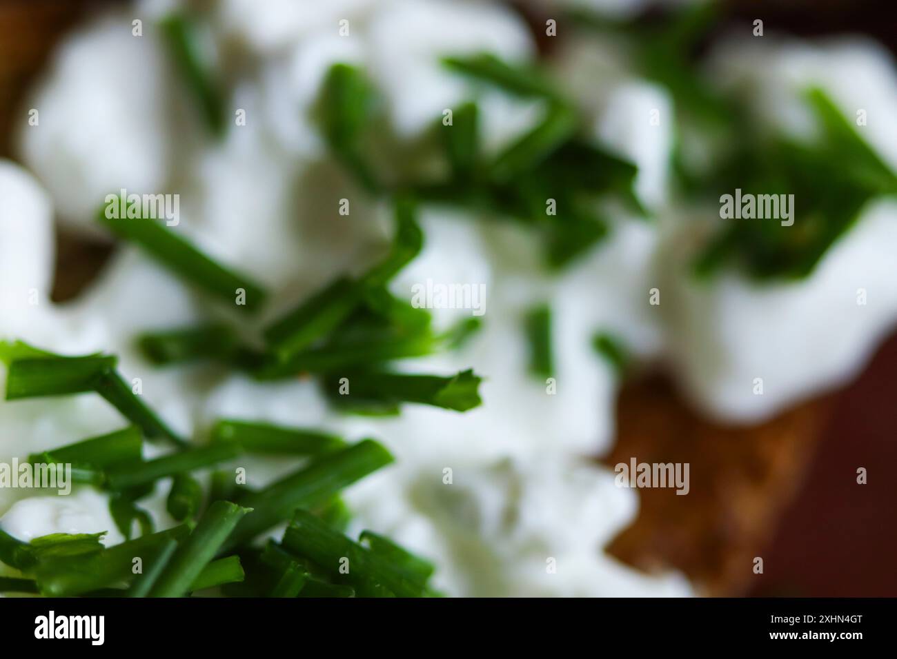 Close up of freshly cut chives on cream cottage cheese with roasted ...
