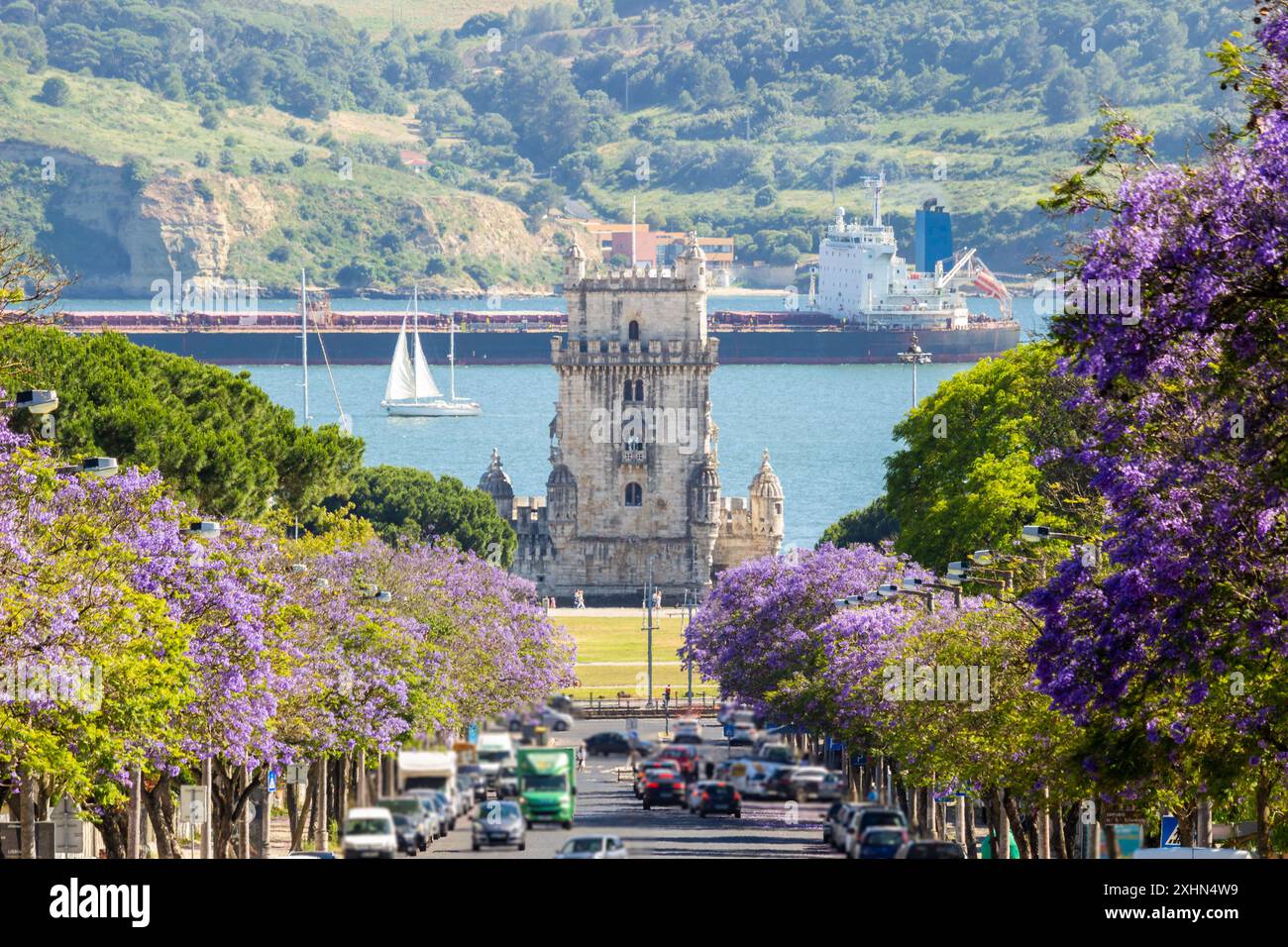 Belem tower jacaranda blooming purple hi-res stock photography and ...