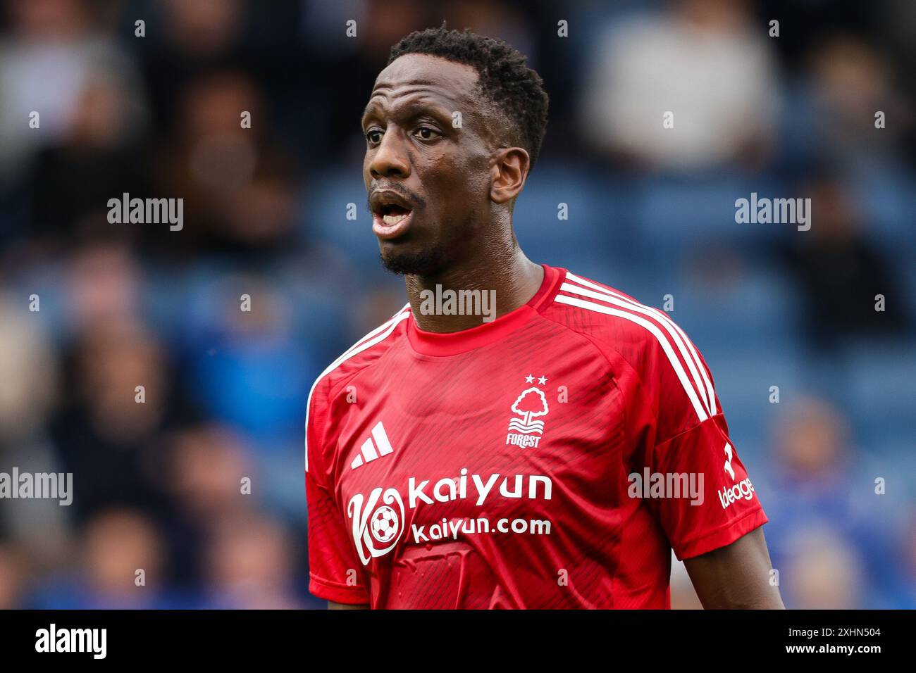 Nottingham Forest's Willy Boly during the pre-season friendly match at ...