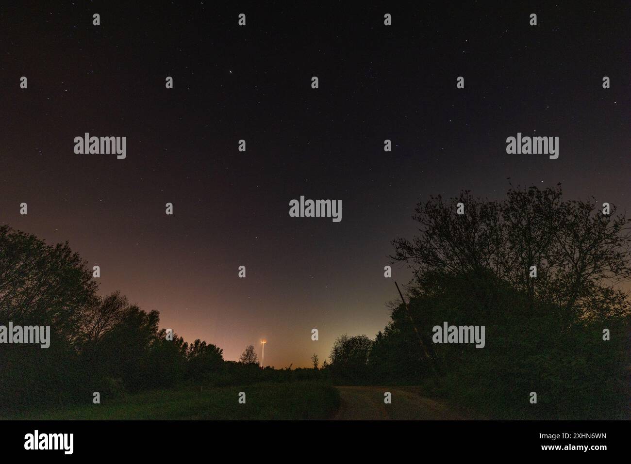 A peaceful night scene featuring silhouetted trees under a dark sky ...
