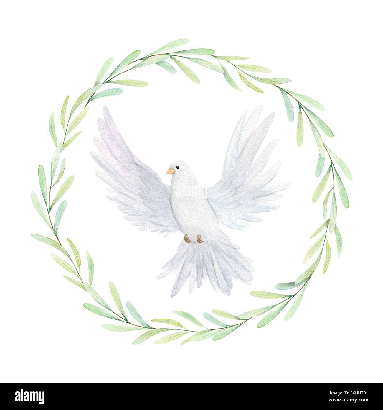 Watercolor white dove and olive branches. White birds in laurel wreath ...