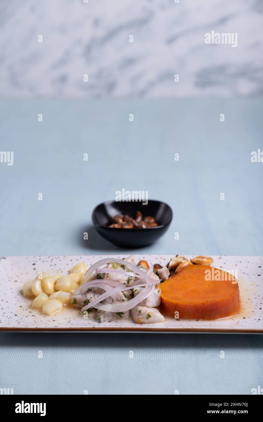 Traditional Peruvian ceviche presented on a light blue background Stock ...