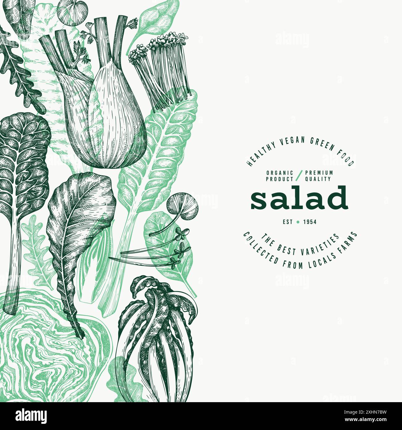 Green Vegetable Design Template. Vector Hand Drawn Healthy Leaf Salad ...