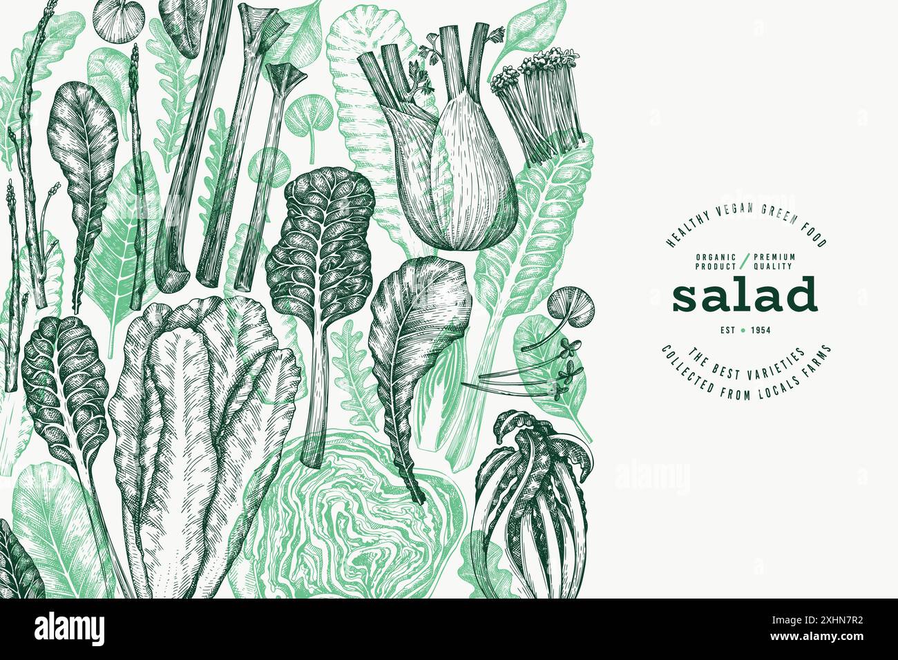 Green Vegetable Design Template. Vector Hand Drawn Healthy Leaf Salad ...