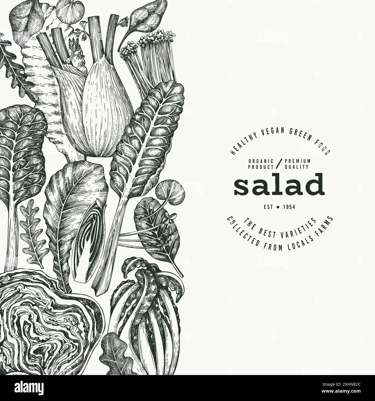 Green Vegetable Design Template. Vector Hand Drawn Healthy Leaf Salad ...