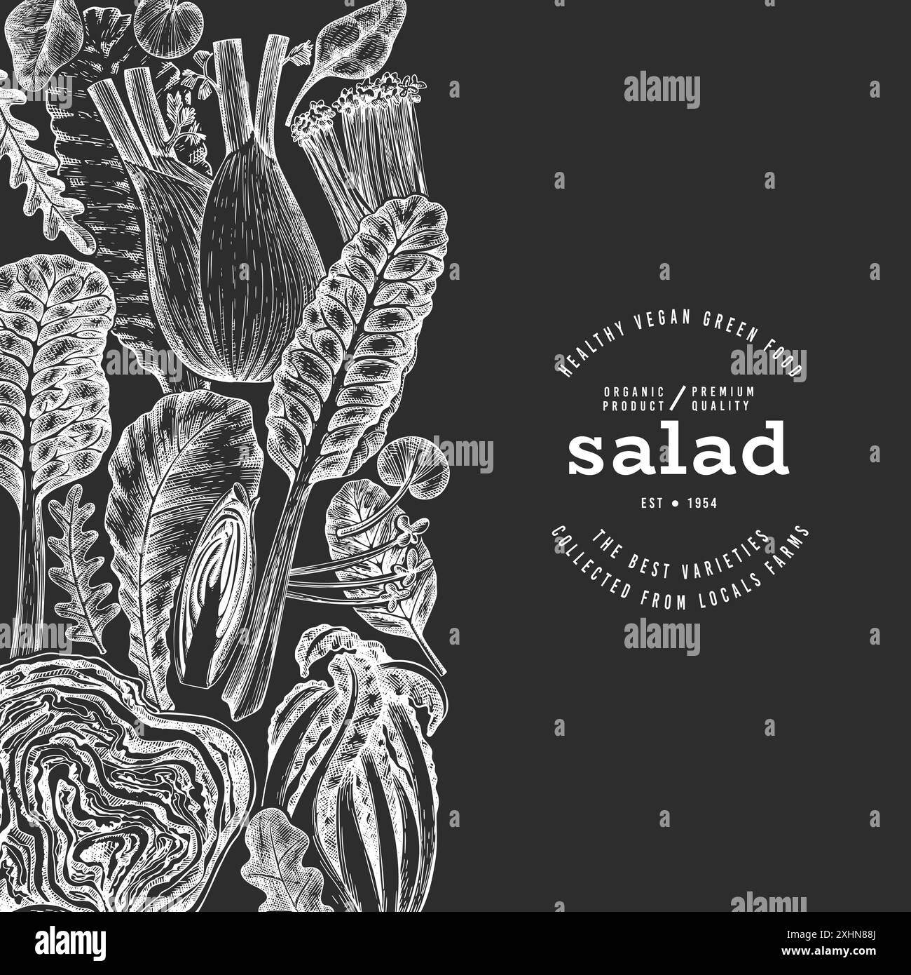Green Vegetable Design Template. Vector Hand Drawn Healthy Leaf Salad ...