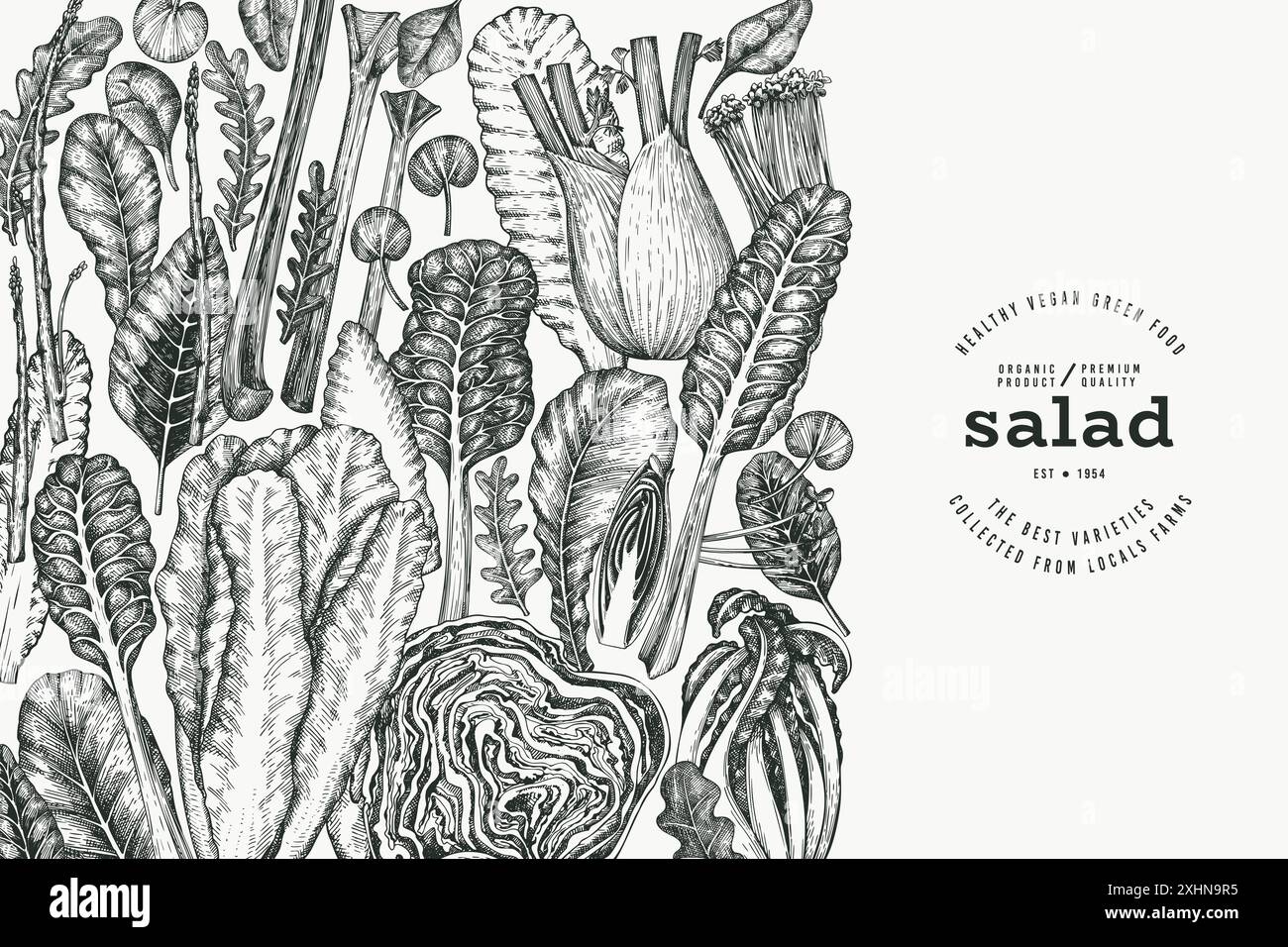 Green Vegetable Design Template. Vector Hand Drawn Healthy Leaf Salad ...