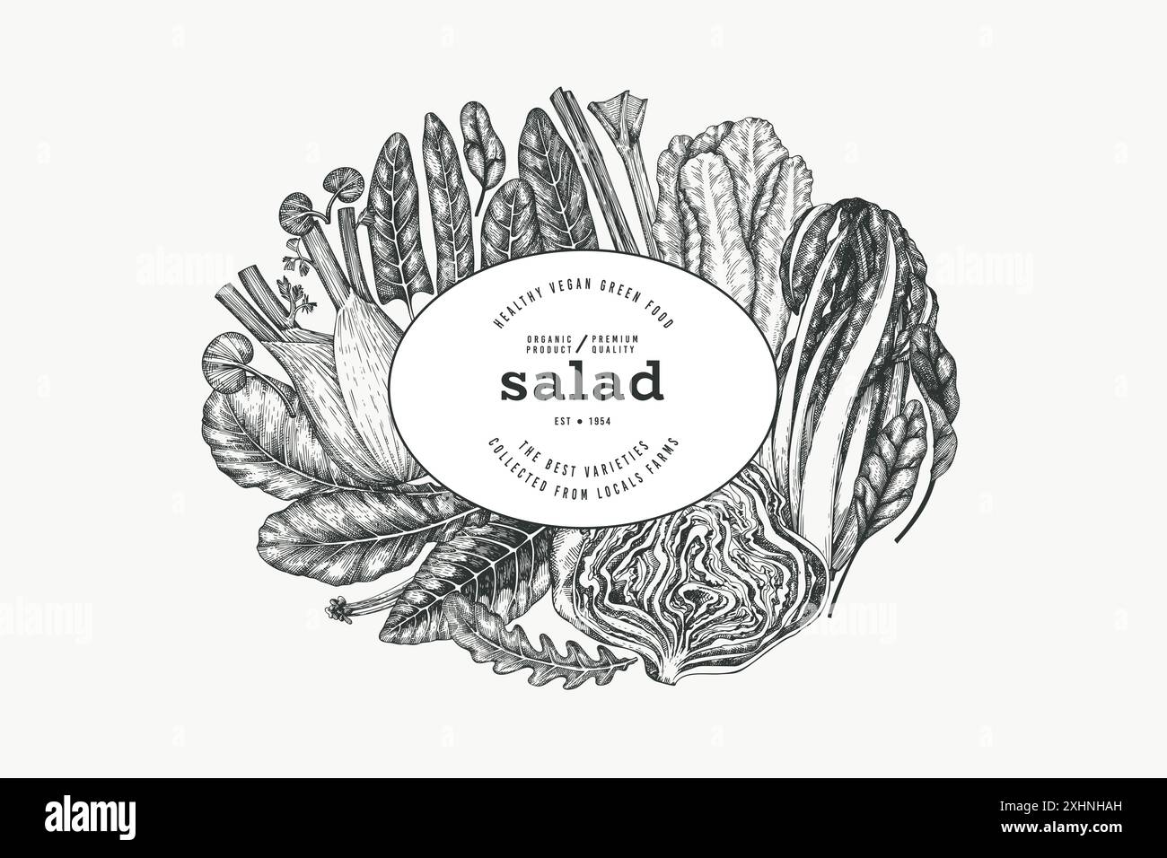 Green Vegetable Design Template. Vector Hand Drawn Healthy Leaf Salad ...