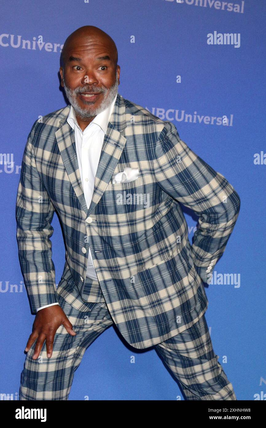 LOS ANGELES - JUL 14: David Alan Grier at the NBCUniversal TCA Press ...