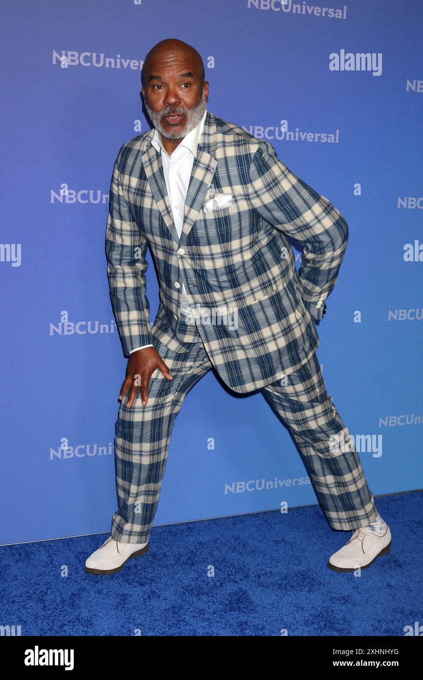 LOS ANGELES - JUL 14: David Alan Grier at the NBCUniversal TCA Press ...