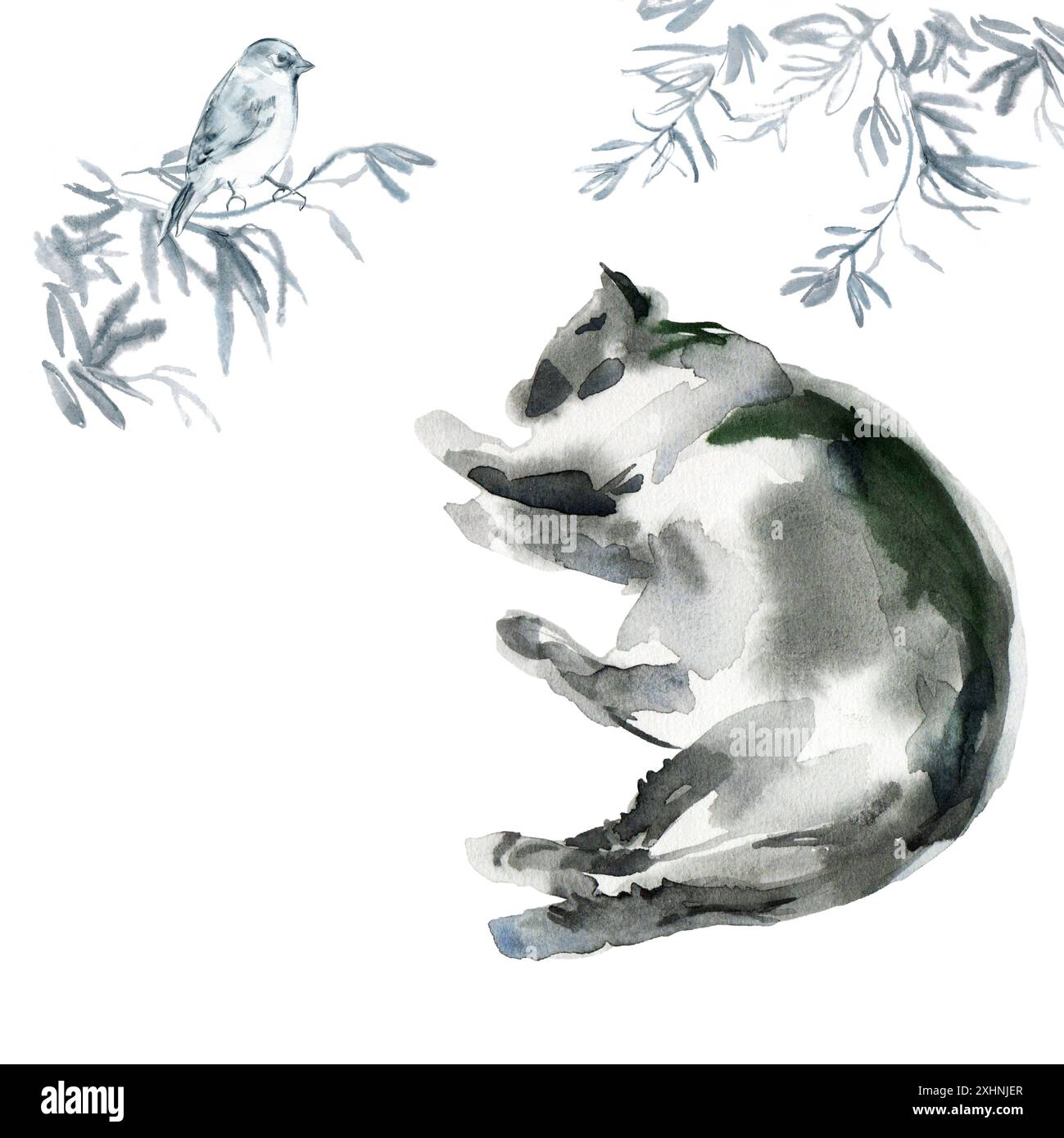 Birds sleep Cut Out Stock Images & Pictures - Alamy