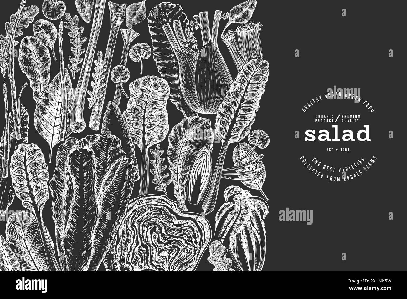 Green Vegetable Design Template. Vector Hand Drawn Healthy Leaf Salad ...