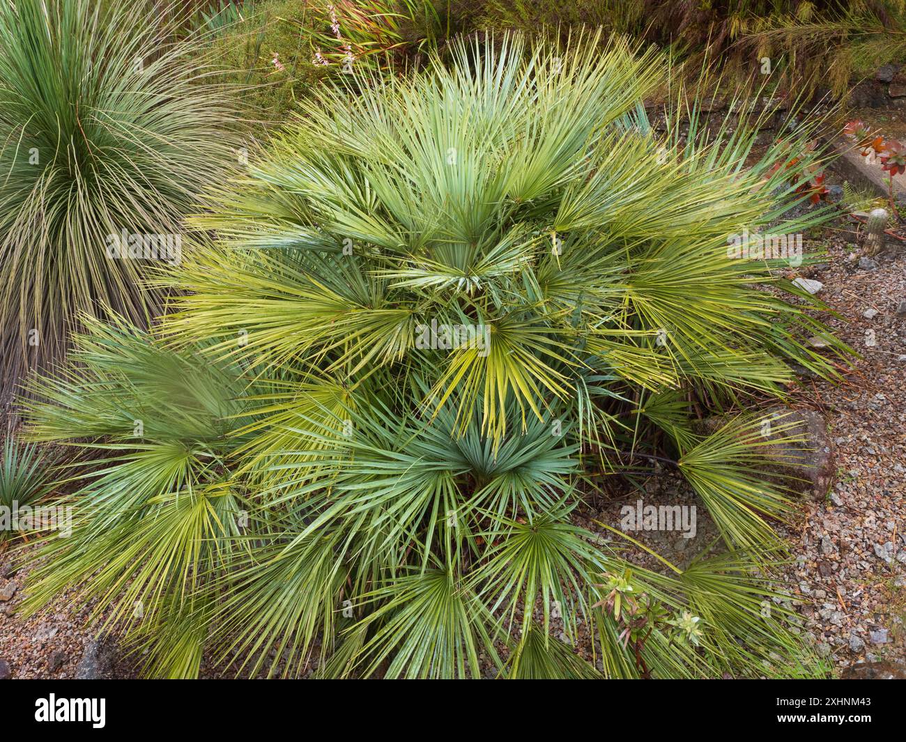 Vulcano uk hi-res stock photography and images - Alamy