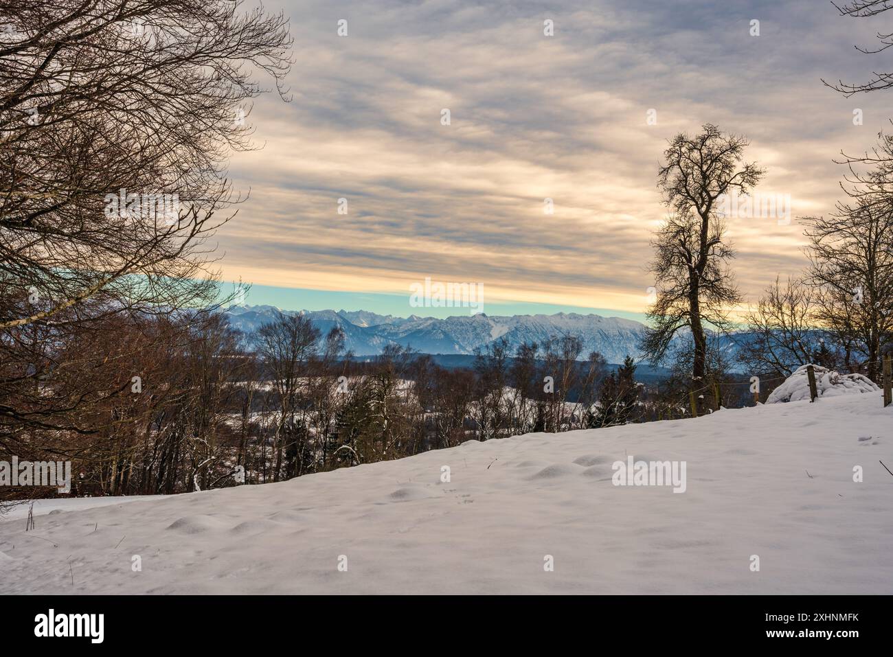 winter, fog, forest, landscape, nature, panorama, alps, bavaria, snow ...