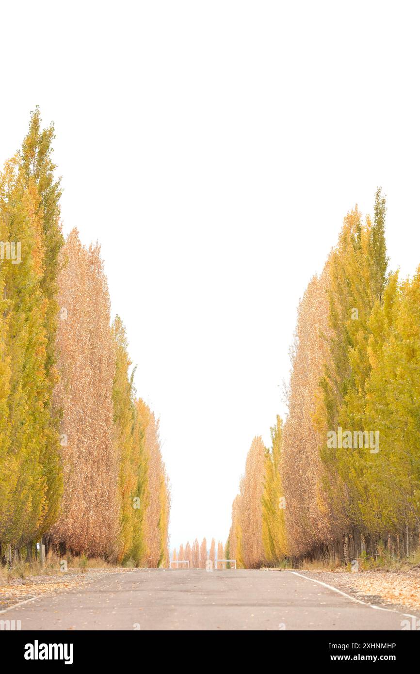 Casa de uco hi-res stock photography and images - Alamy