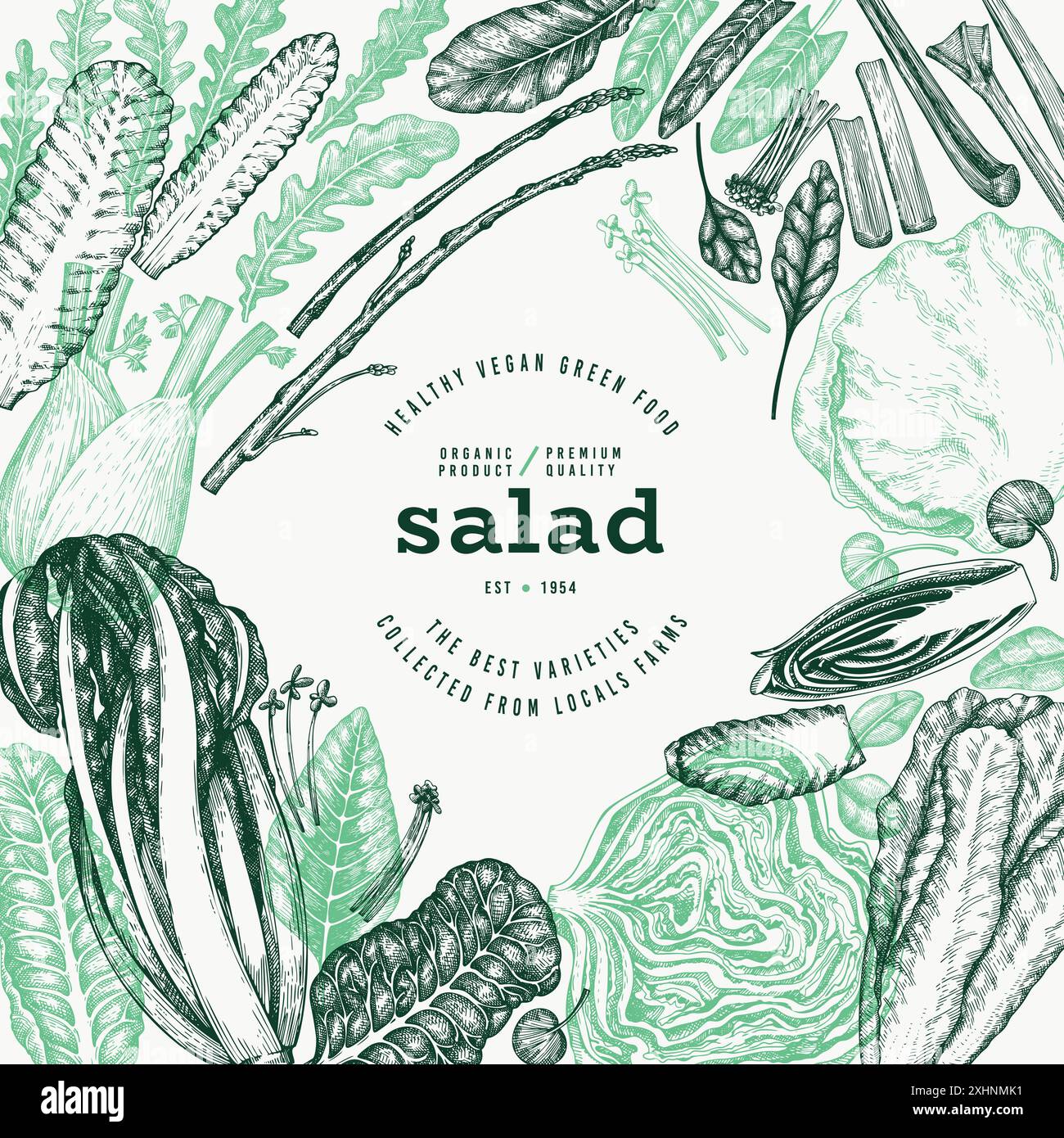 Green Vegetable Design Template. Vector Hand Drawn Healthy Leaf Salad ...